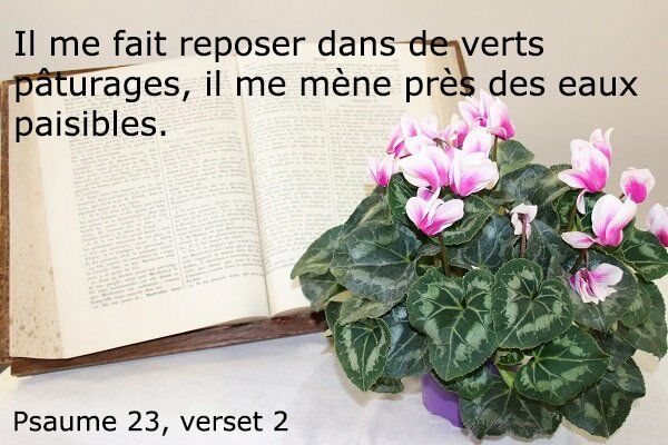 Il me fait reposer ... Psaume 23 - Bordeaux